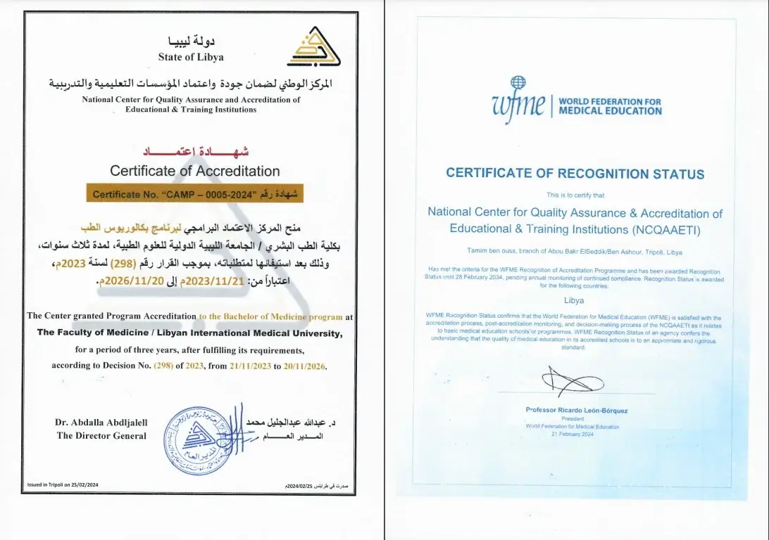 Libyan International University
