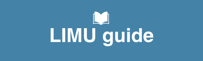 Libyan International University