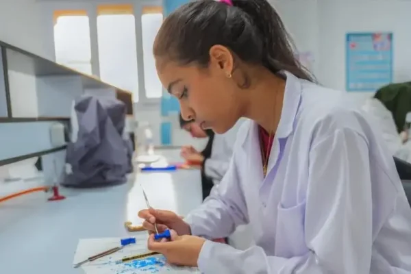 design testing - LIMU